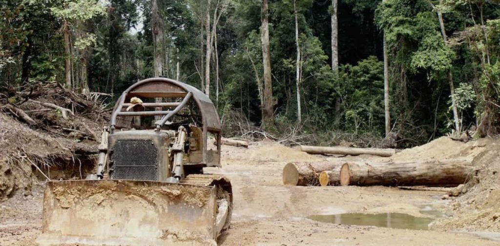 The African Conservation Foundation becomes Actor for the UN Decade on ...