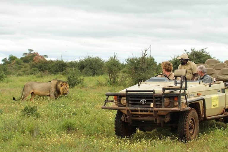 FGASA African Field Guide Level 1 Course - African Conservation Foundation