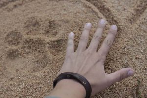 FGASA African Field Guide Level 1 Course - African Conservation Foundation