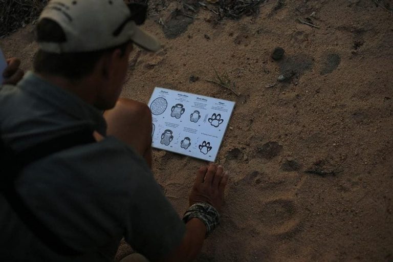 FGASA African Field Guide Level 1 Course - African Conservation Foundation