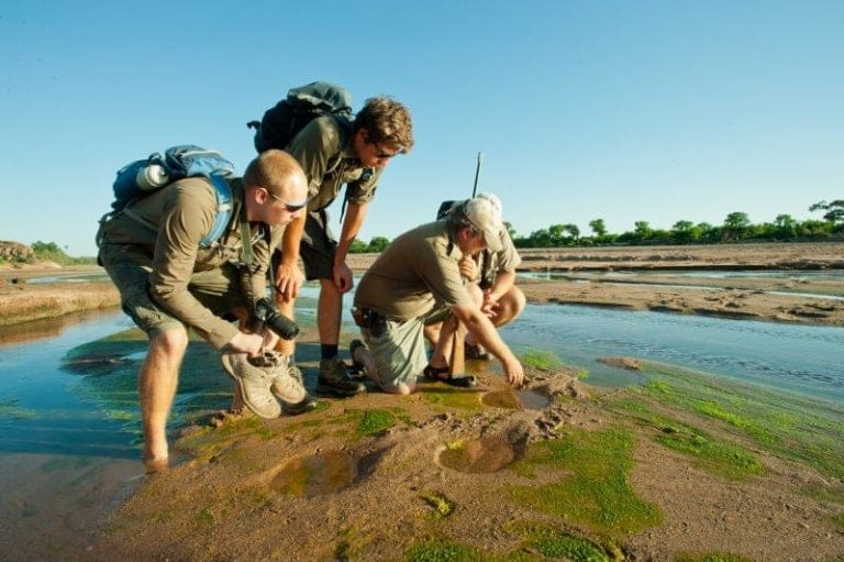 FGASA African Field Guide Level 1 Course - African Conservation Foundation