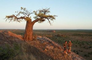FGASA African Field Guide Level 1 Course - African Conservation Foundation
