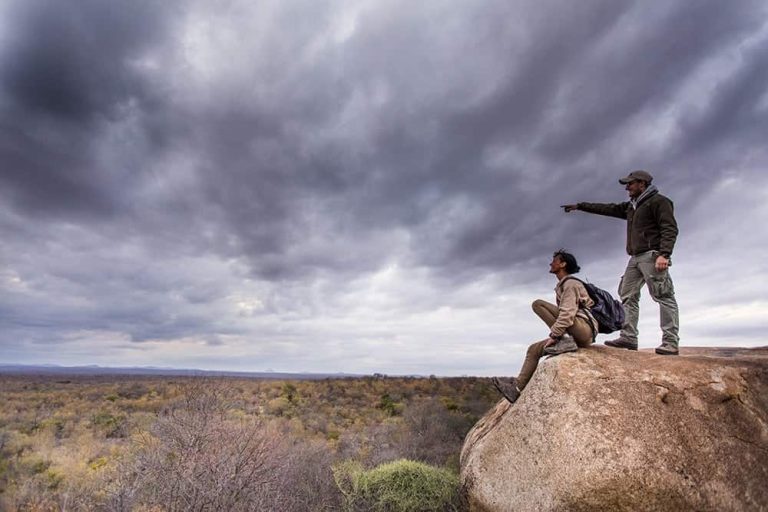 FGASA African Field Guide Level 1 Course - African Conservation Foundation