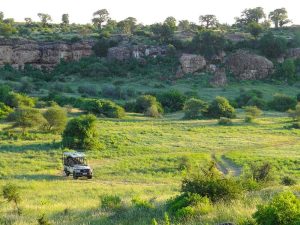 FGASA African Field Guide Level 1 Course - African Conservation Foundation