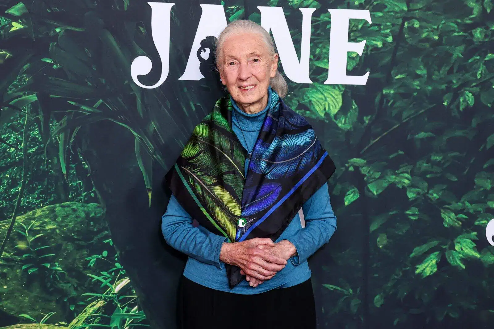 Jane Goodall’s Legacy: Building a Global Movement for Conservation - African Conservation Foundation